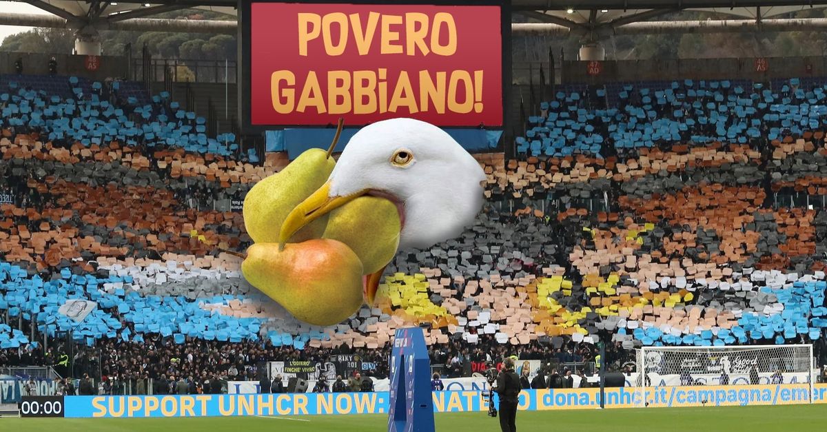 Meme e canzoni, l’aquila diventa solo un gabbiano. La gioia dei ...