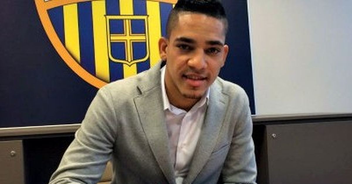 Ag. Gilberto a VN: “A Verona sta crescendo. L’idea è riportarlo a ...