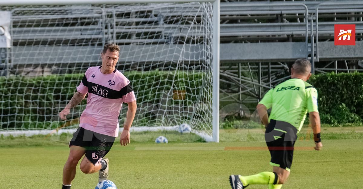 PALERMO, IL REPORT CLINICO DI STULAC POST BRESCIA: SI FERMA IL REGISTA ...