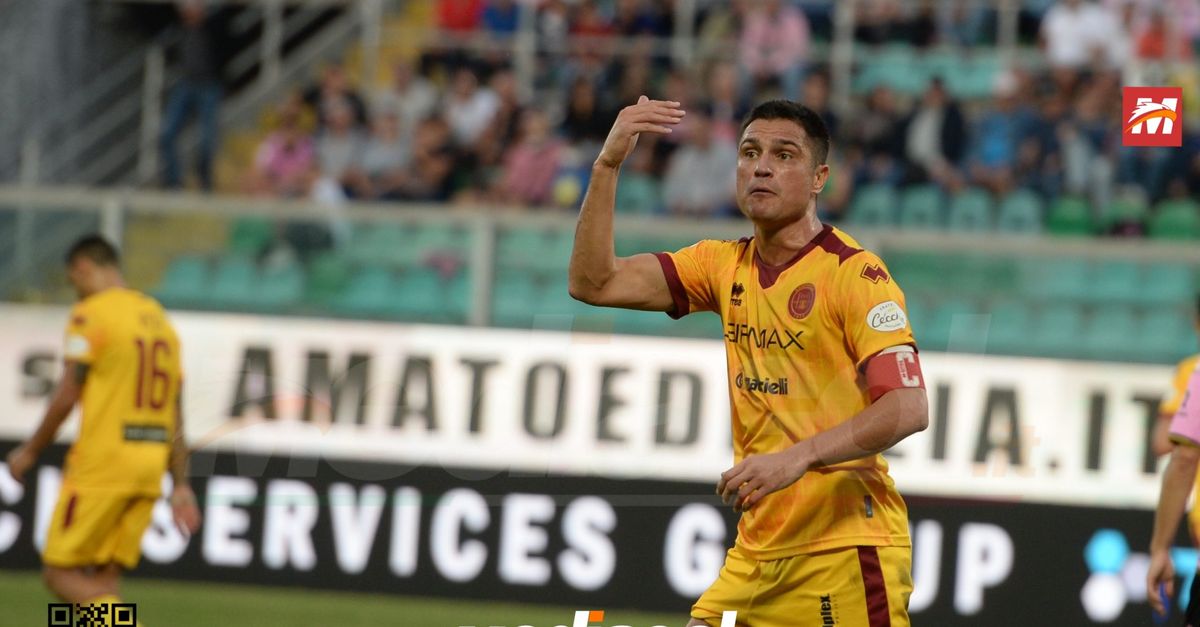Cittadella, verso il Palermo: Perticone e Crociata essenziali per i ... Cittadella, verso il Palermo: Perticone e Crociata essenziali per i ...