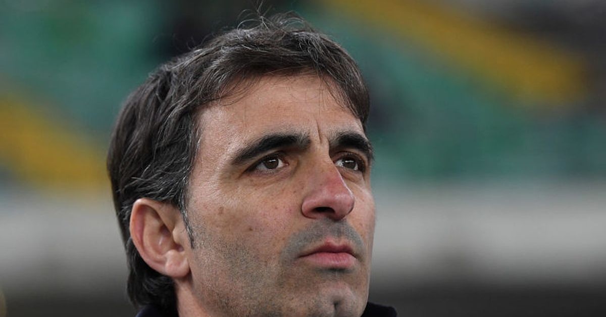 Verona, Pecchia: “Out Cerci e Ferrari. Aarons ha difficoltà, ecco la ...