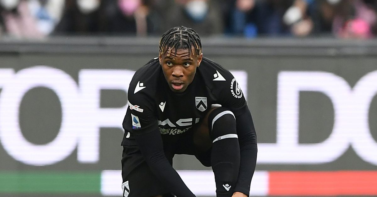 News Udinese | Il vice Udogie è tornato: Sottil riabbraccia Leonardo ...