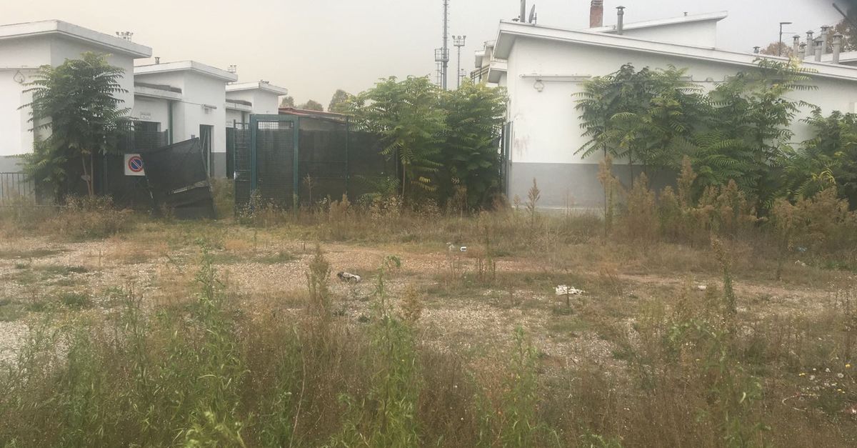 Quattro milioni per rifare il Robaldo: così il Torino trasformerà l ...