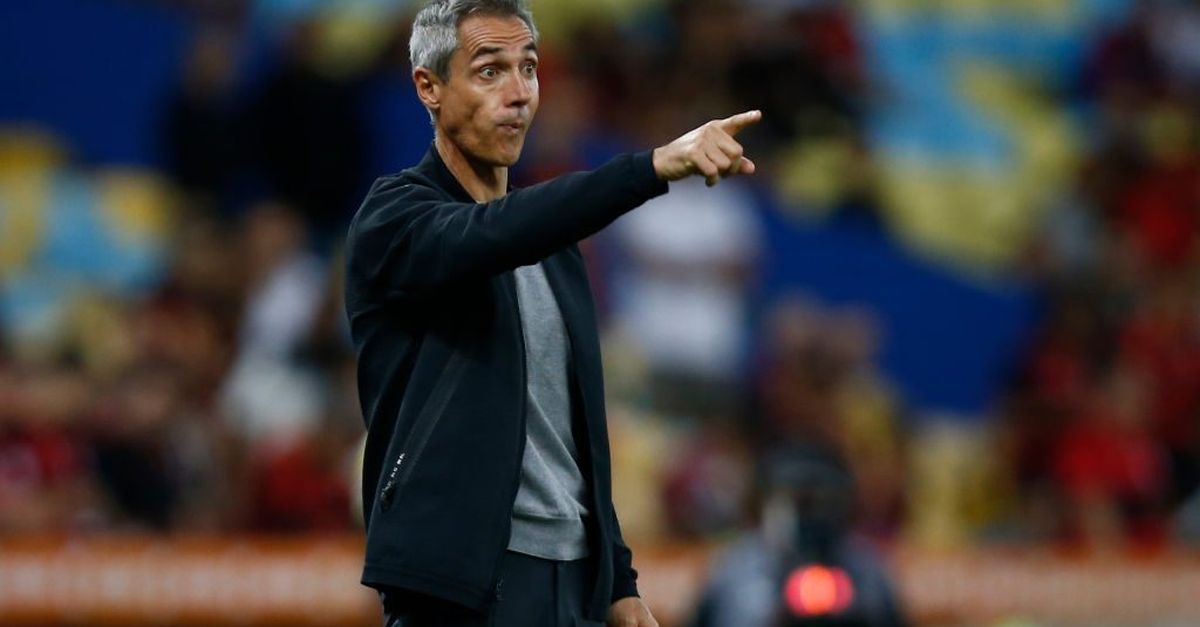 Salernitana, esonerato Nicola. Al suo posto arriva Paulo Sousa ... Salernitana, esonerato Nicola. Al suo posto arriva Paulo Sousa ...