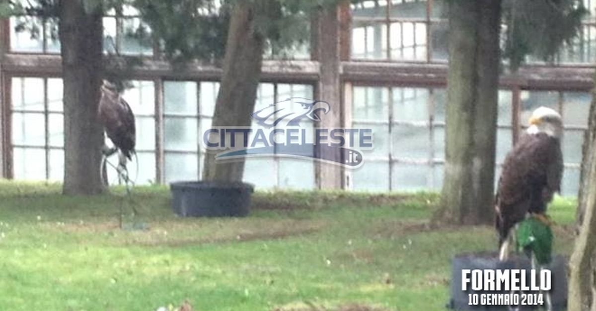 Olimpia trova compagnia – FOTO - Cittaceleste.it