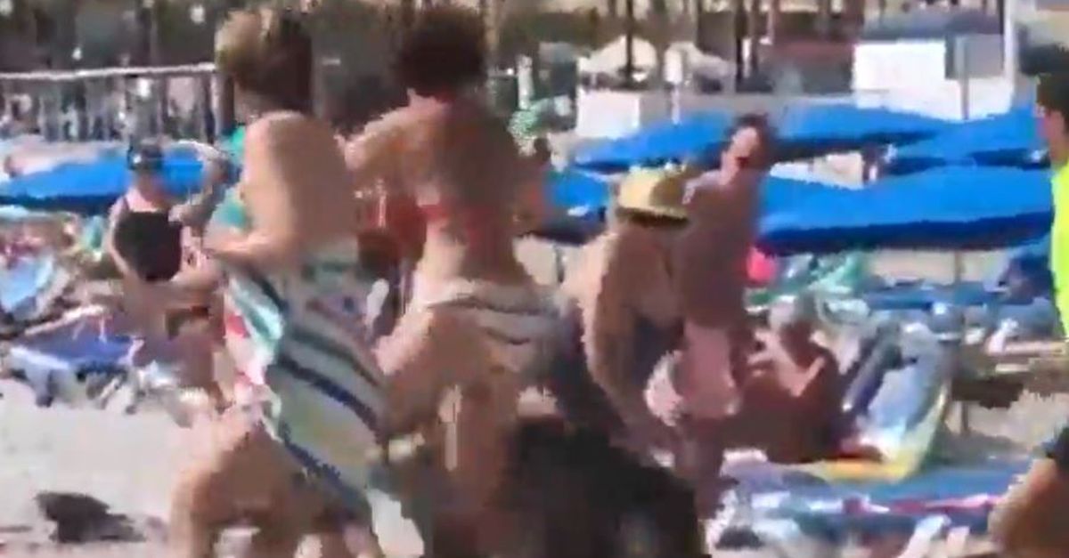 VIDEO/ Un cinghiale irrompe in spiaggia ed è subito il panico - Golssip VIDEO/ Un cinghiale irrompe in spiaggia ed è subito il panico - Golssip